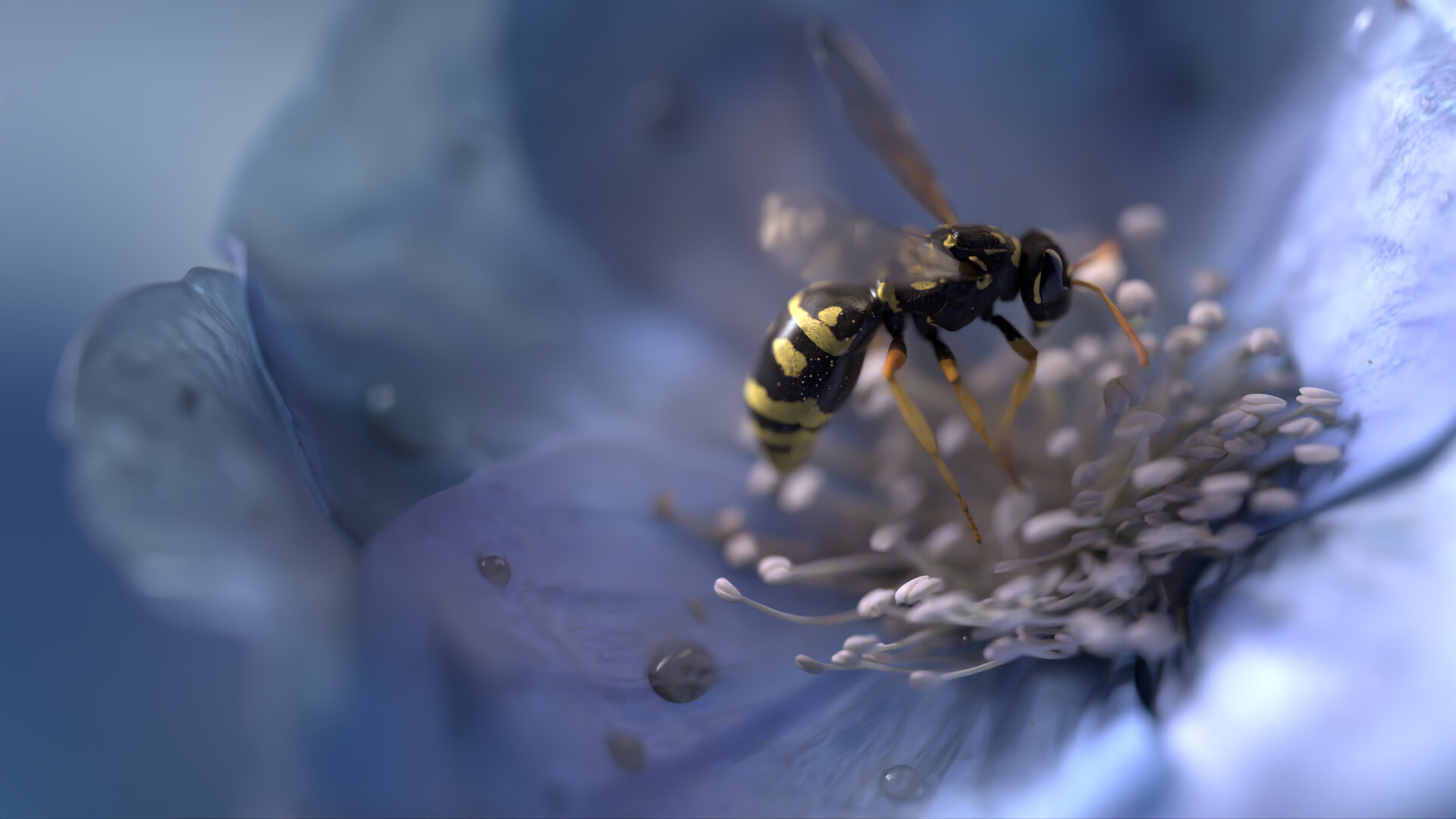 ArtStation - Wasp 3D render