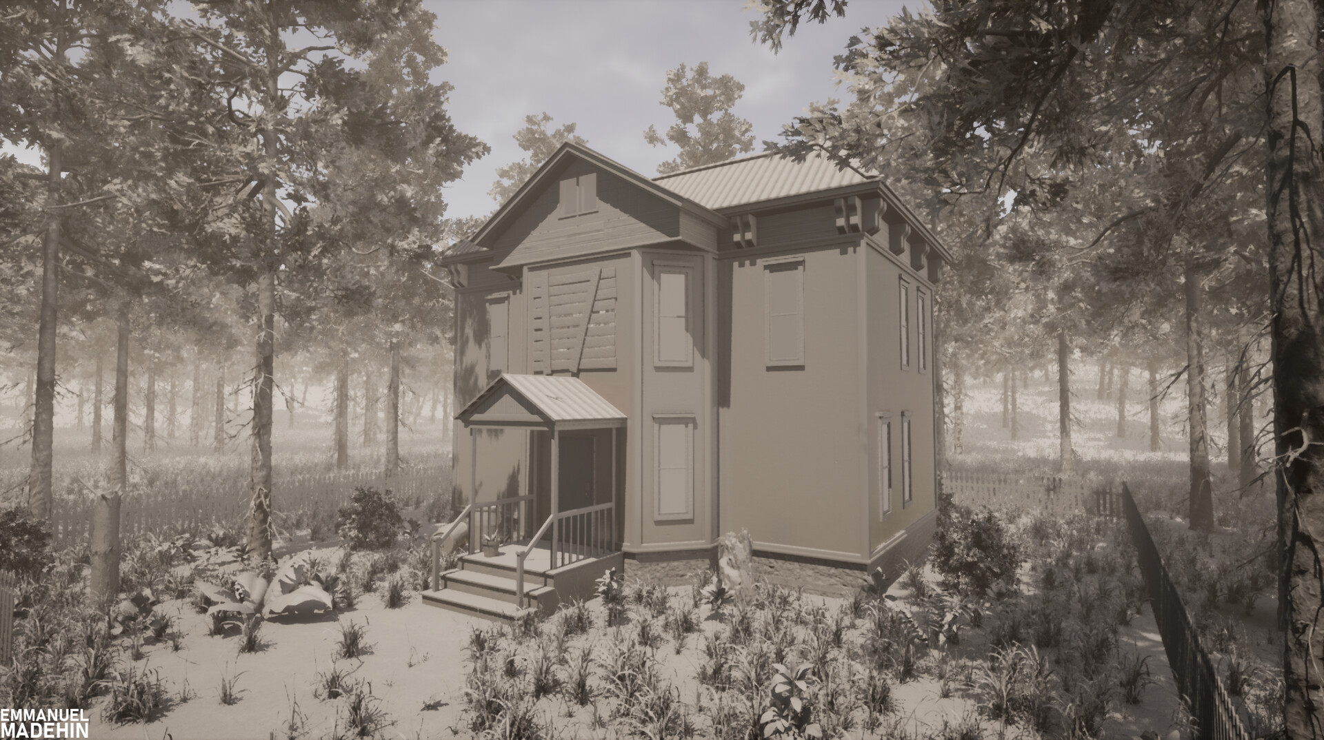 Emmanuel Madehin - House in the woods