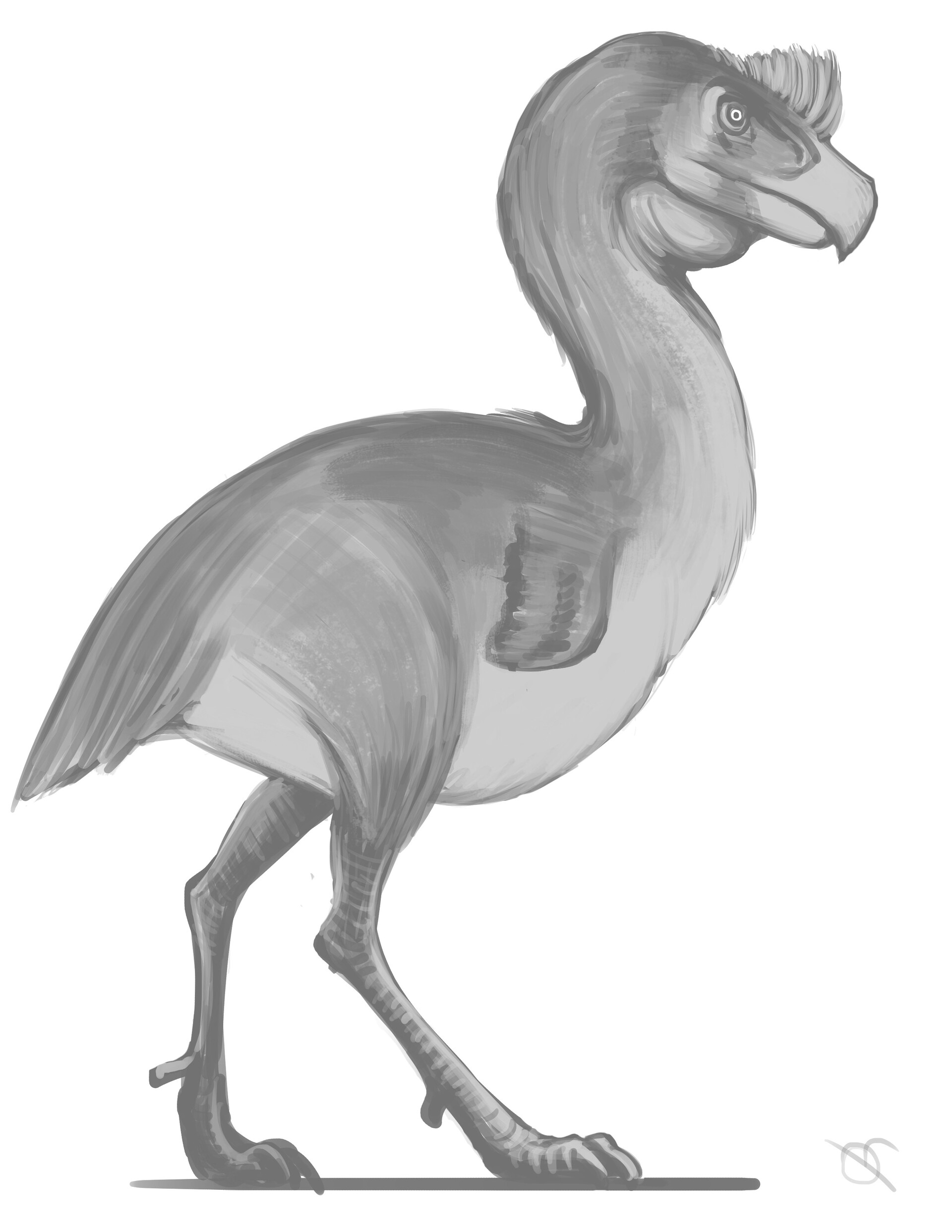 terror bird coloring page
