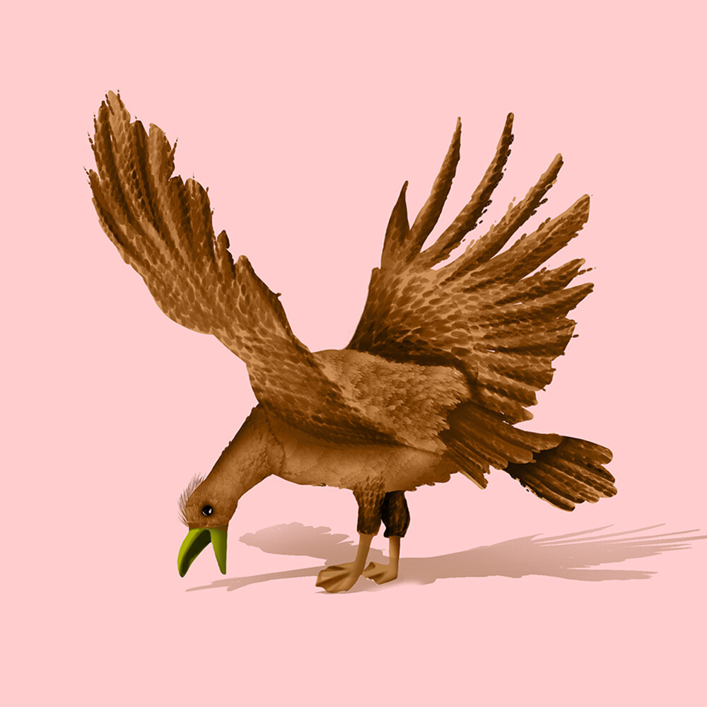 ArtStation - Cormorant Bird Design