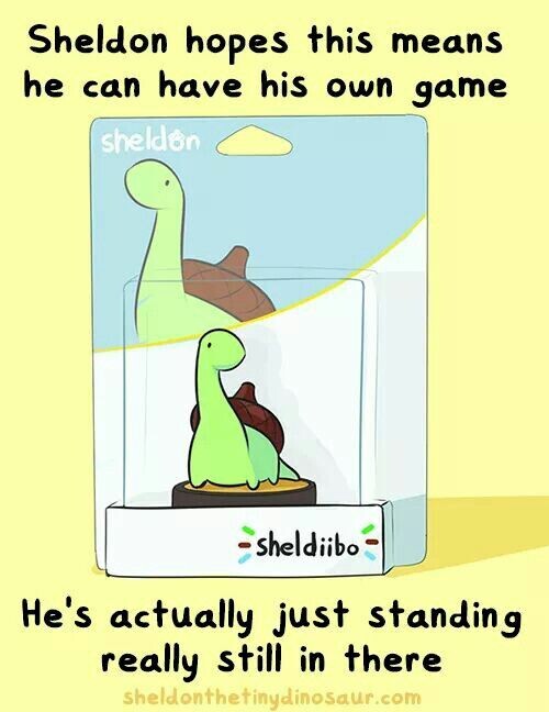 Sheldon The Turtle Wallpaper