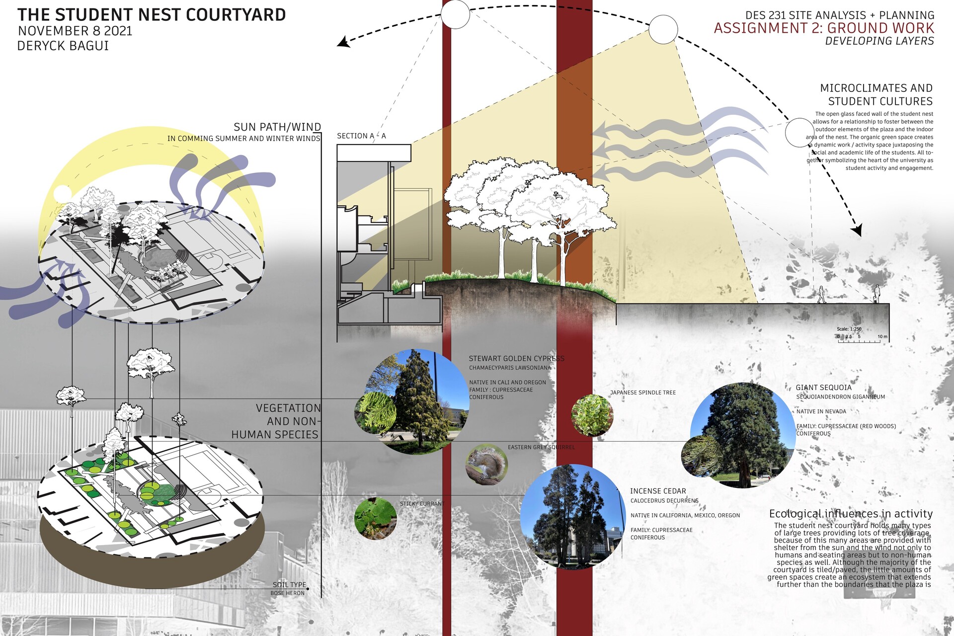 ArtStation - Student Nest Site Analysis