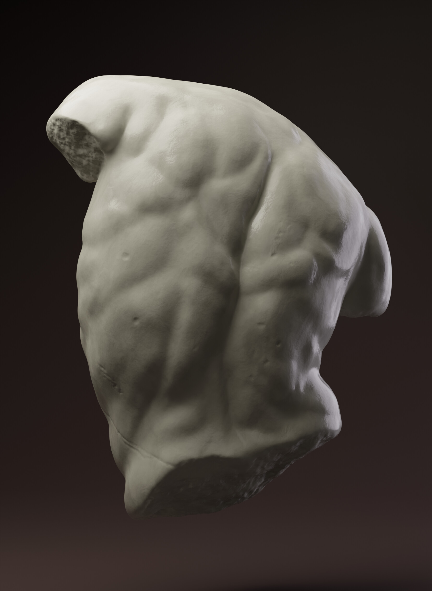 Andrey Kirin - Gaddi Torso Study