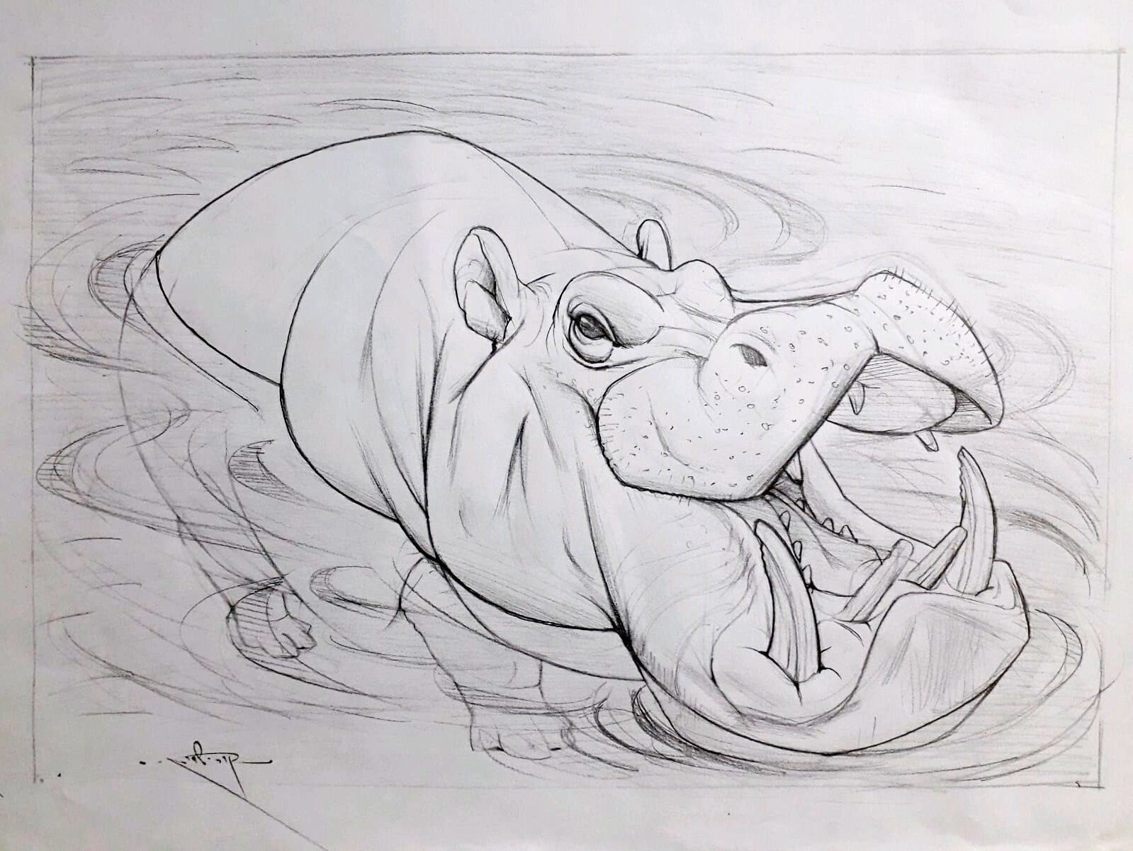 ArtStation - Hippo_pencil