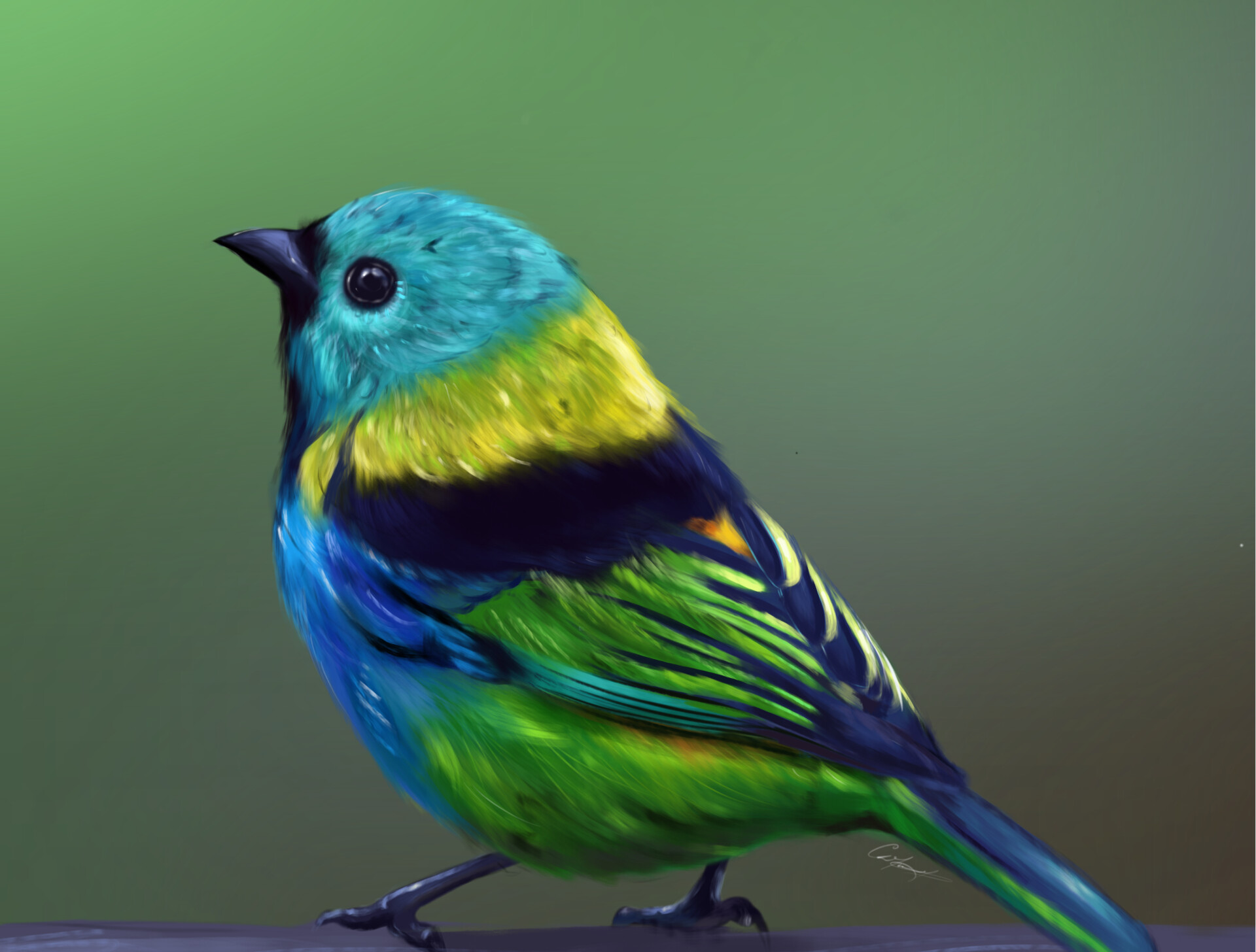 ArtStation - The green bird