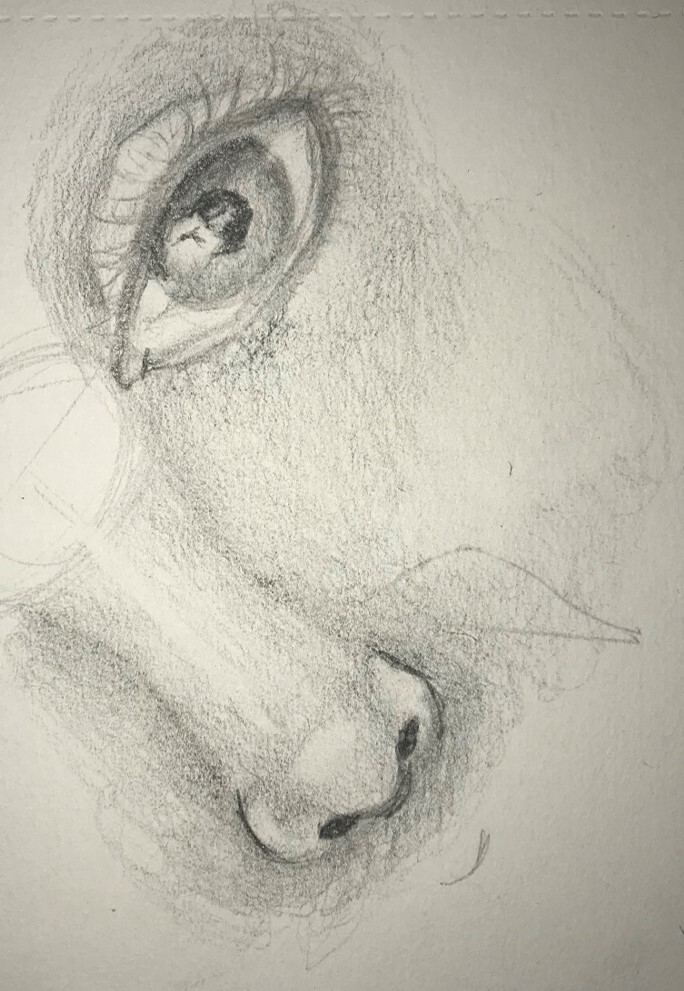 ArtStation - More Facial Features Practice