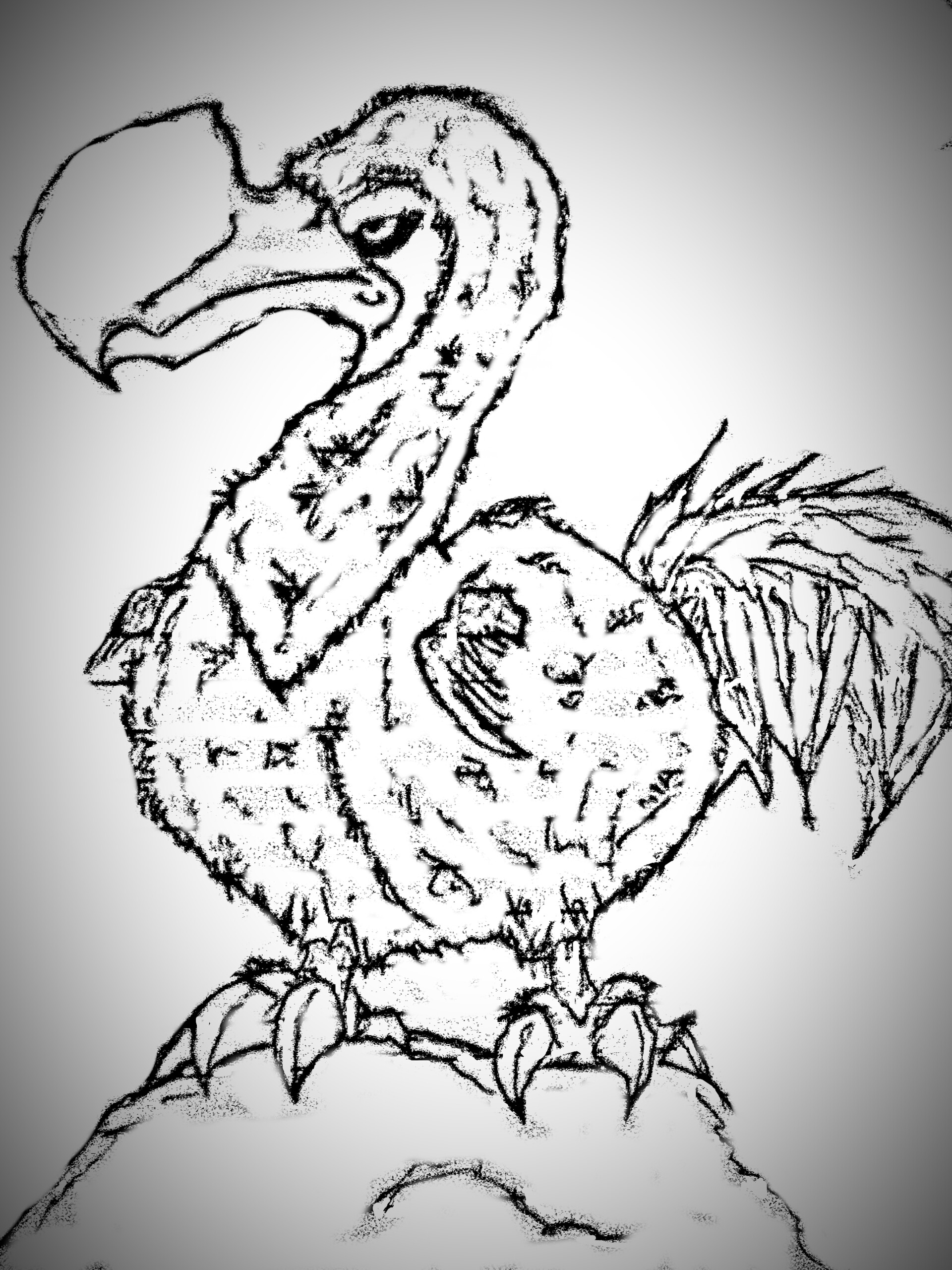 ArtStation - Dodo bird