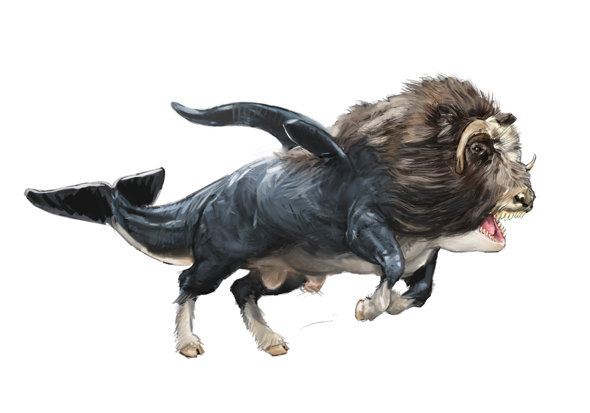 ArtStation - Musk Orca (hybrid musk ox/killer whale)