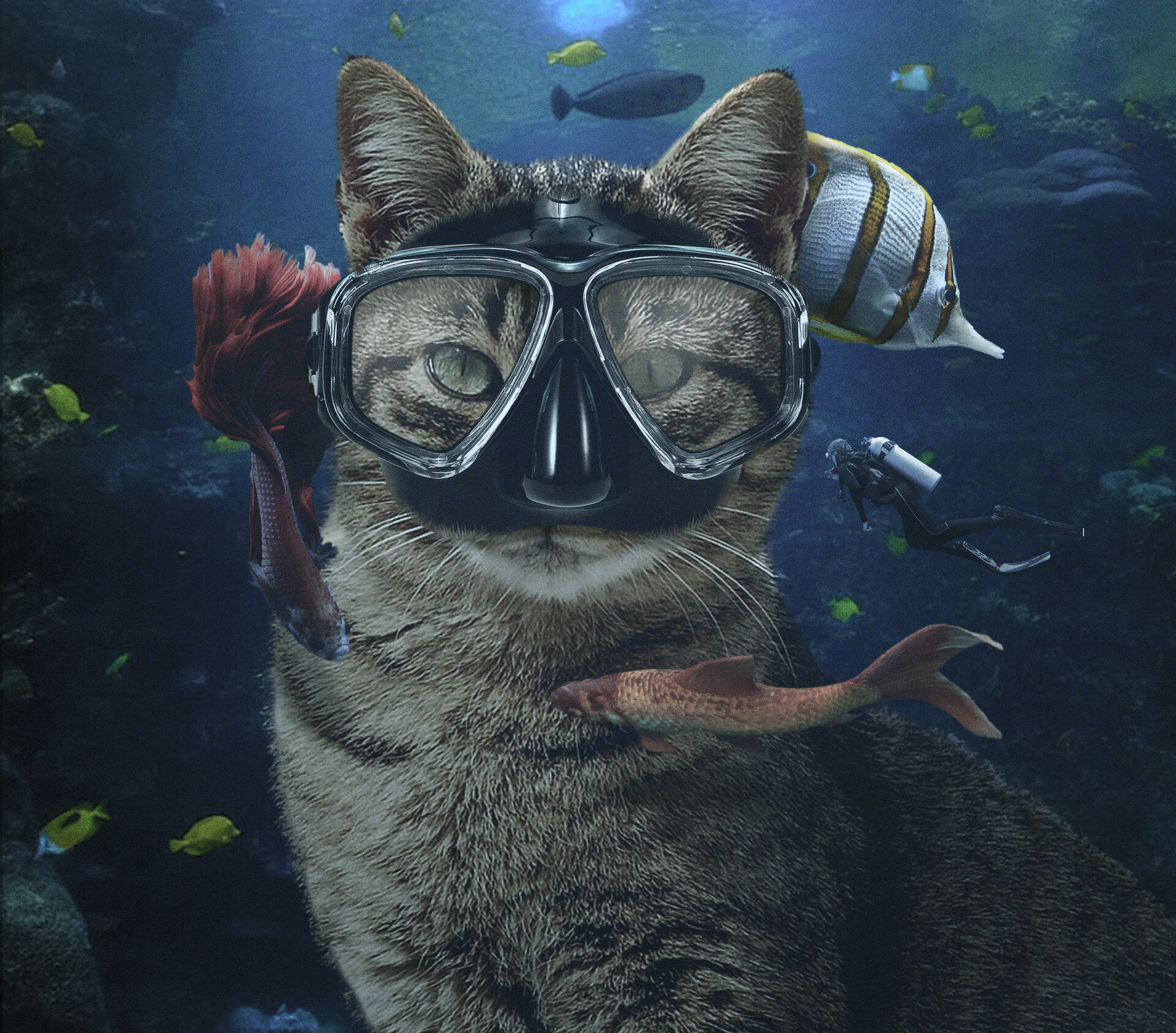 ArtStation - Submarine Cat