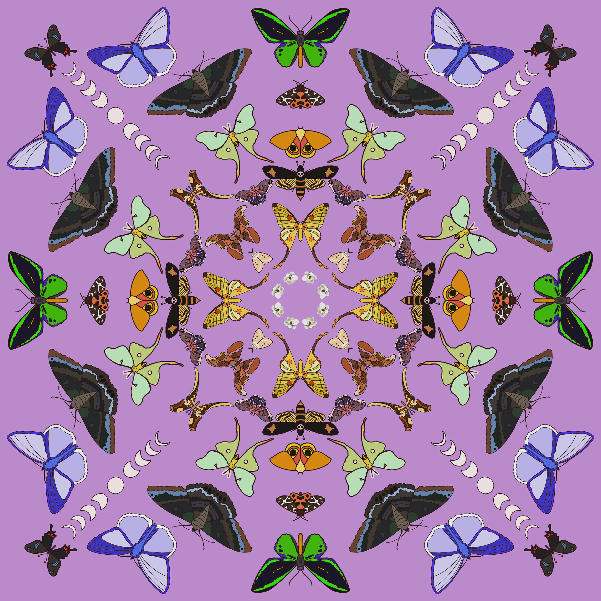 ArtStation - Butterfly kaleidoscope