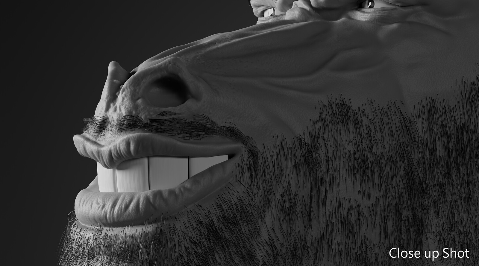 Wiglow - Chad Donkey