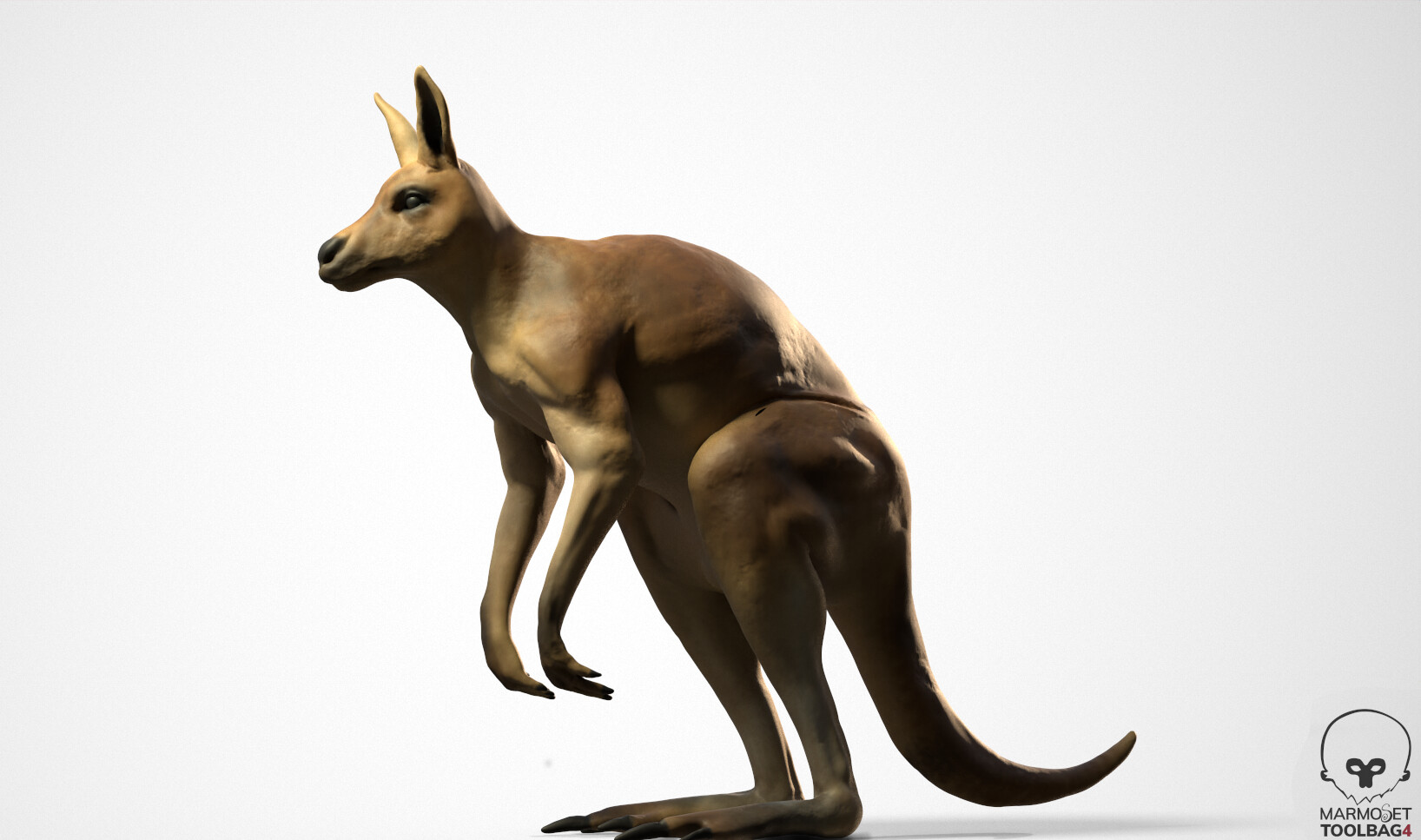ArtStation - Kangaroo