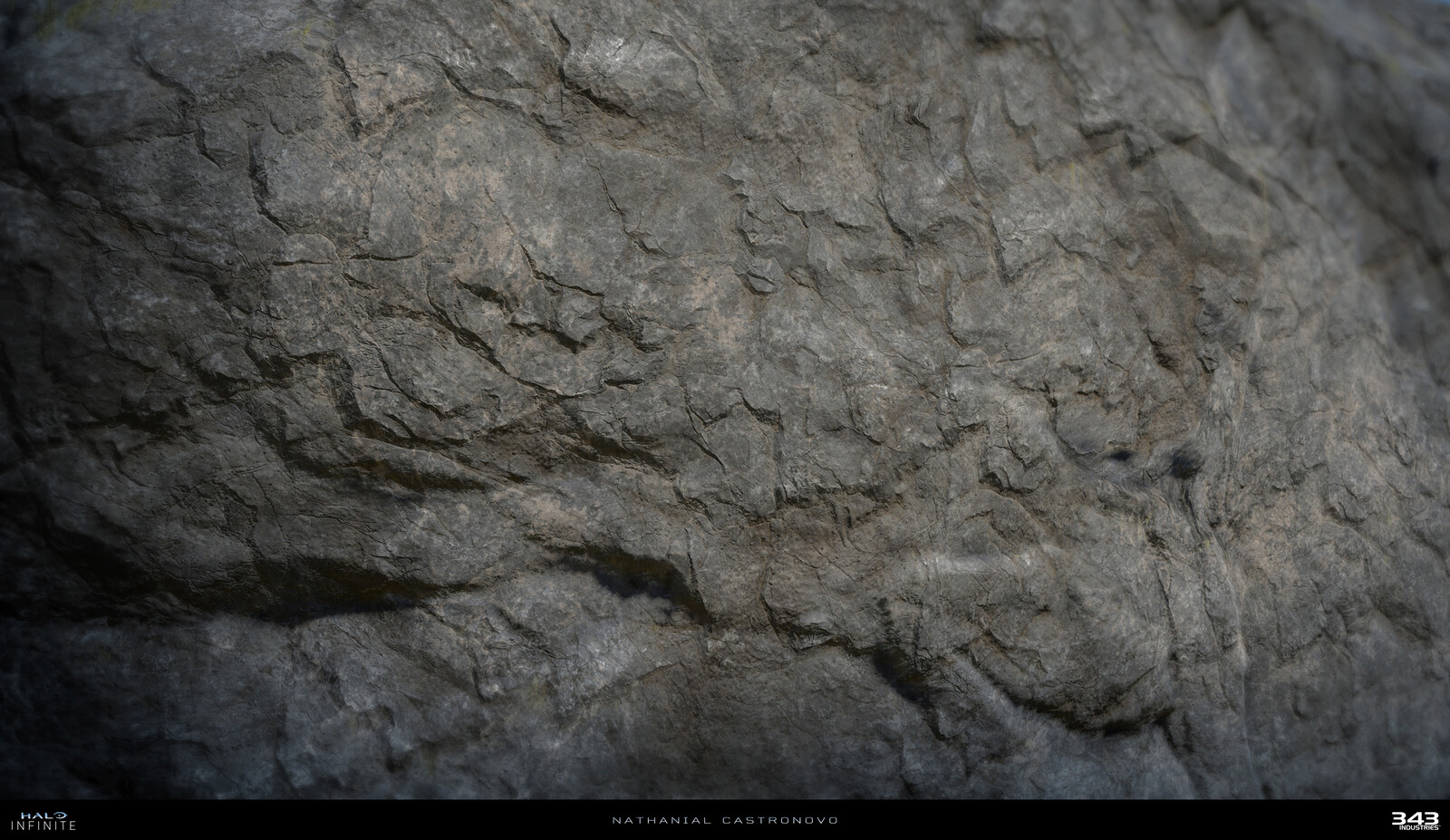 Nathanial Castronovo - Halo Infinite: Biomes Work