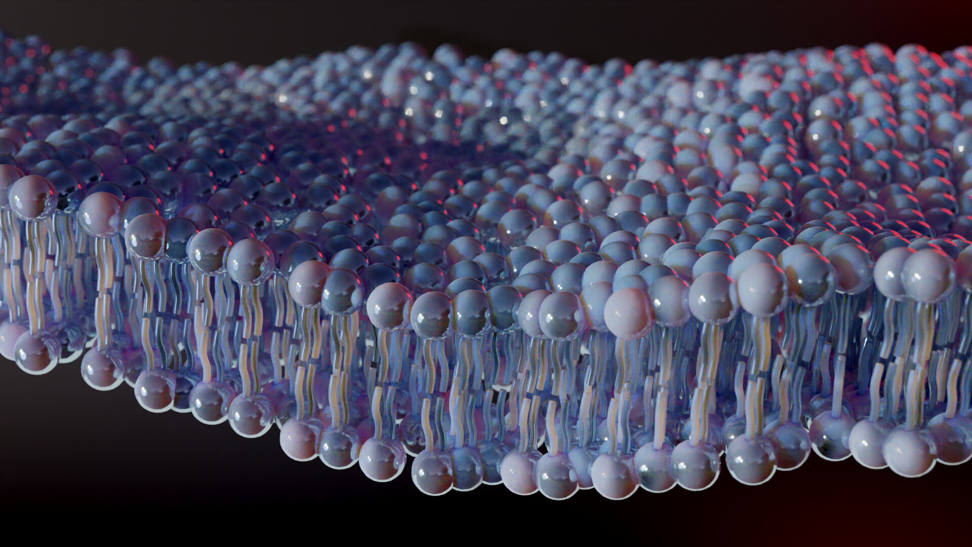 ArtStation - Procedural lipid bilayer