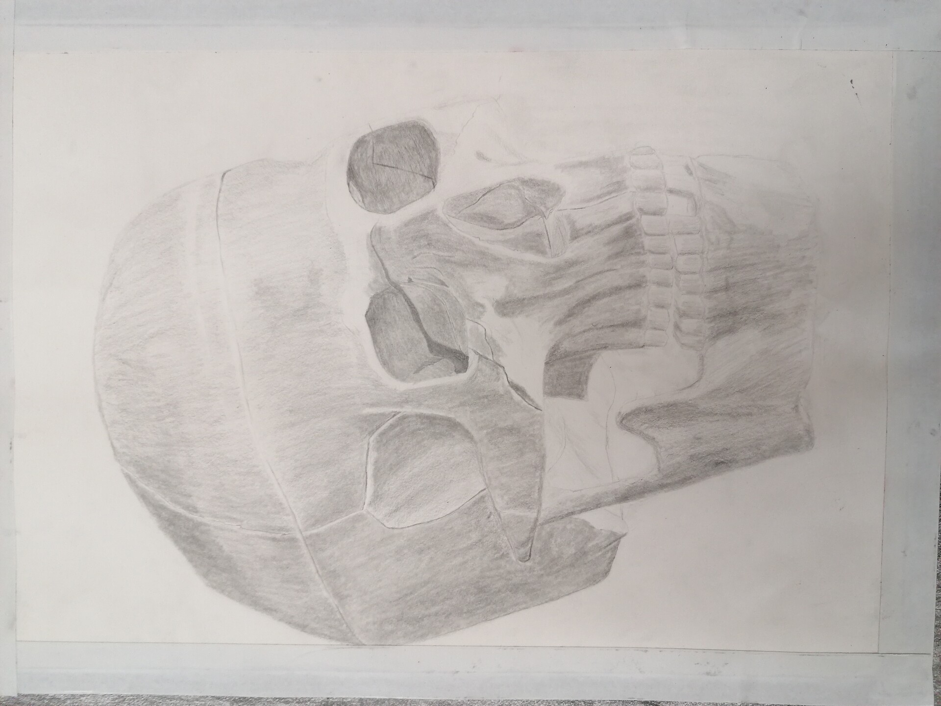 Lewis Williamson - Skull