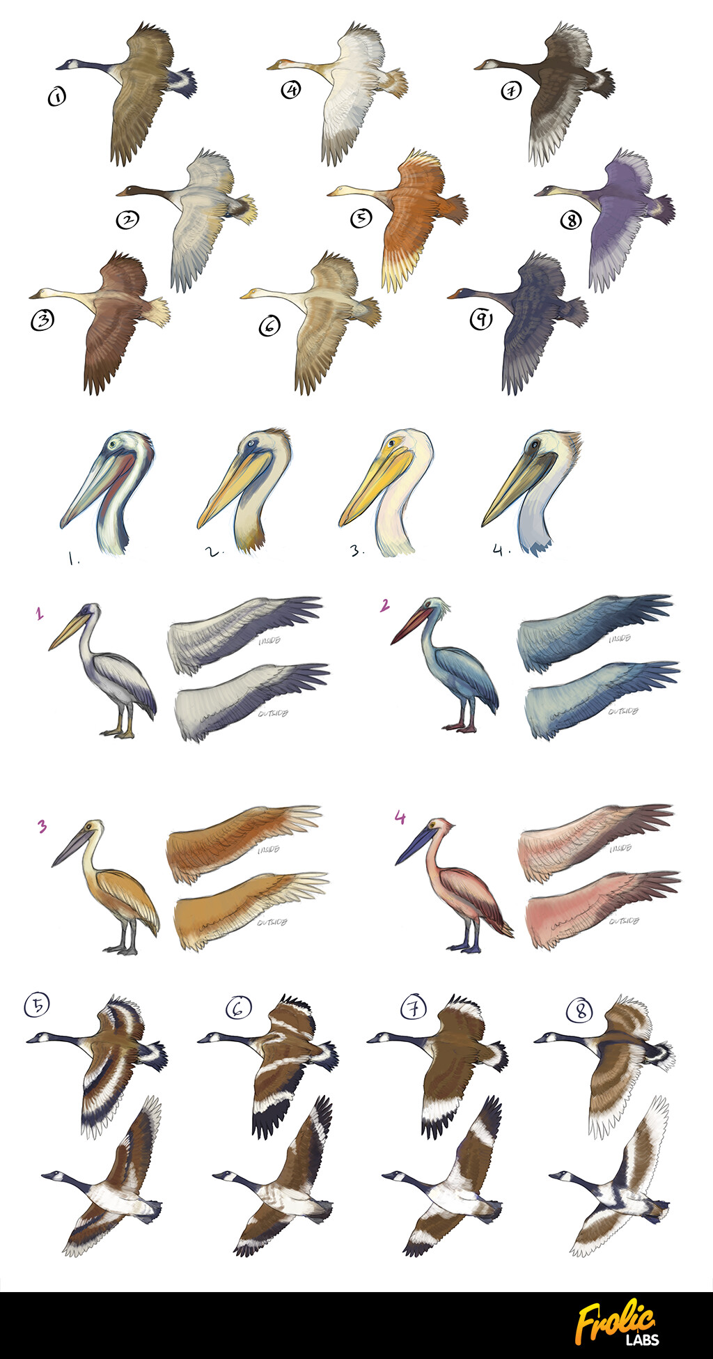 ArtStation - Dune Sea Bird Concept Art