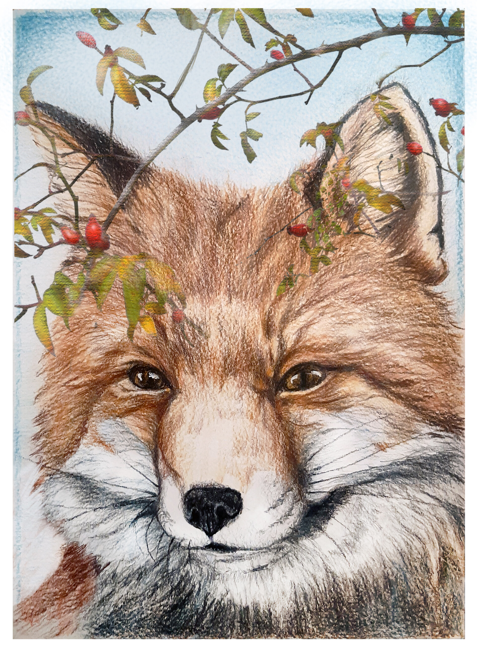 ArtStation - Fox