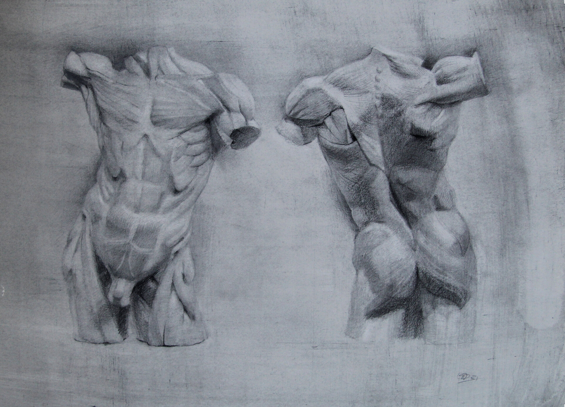 ArtStation - Écorché Torso Study in Graphite