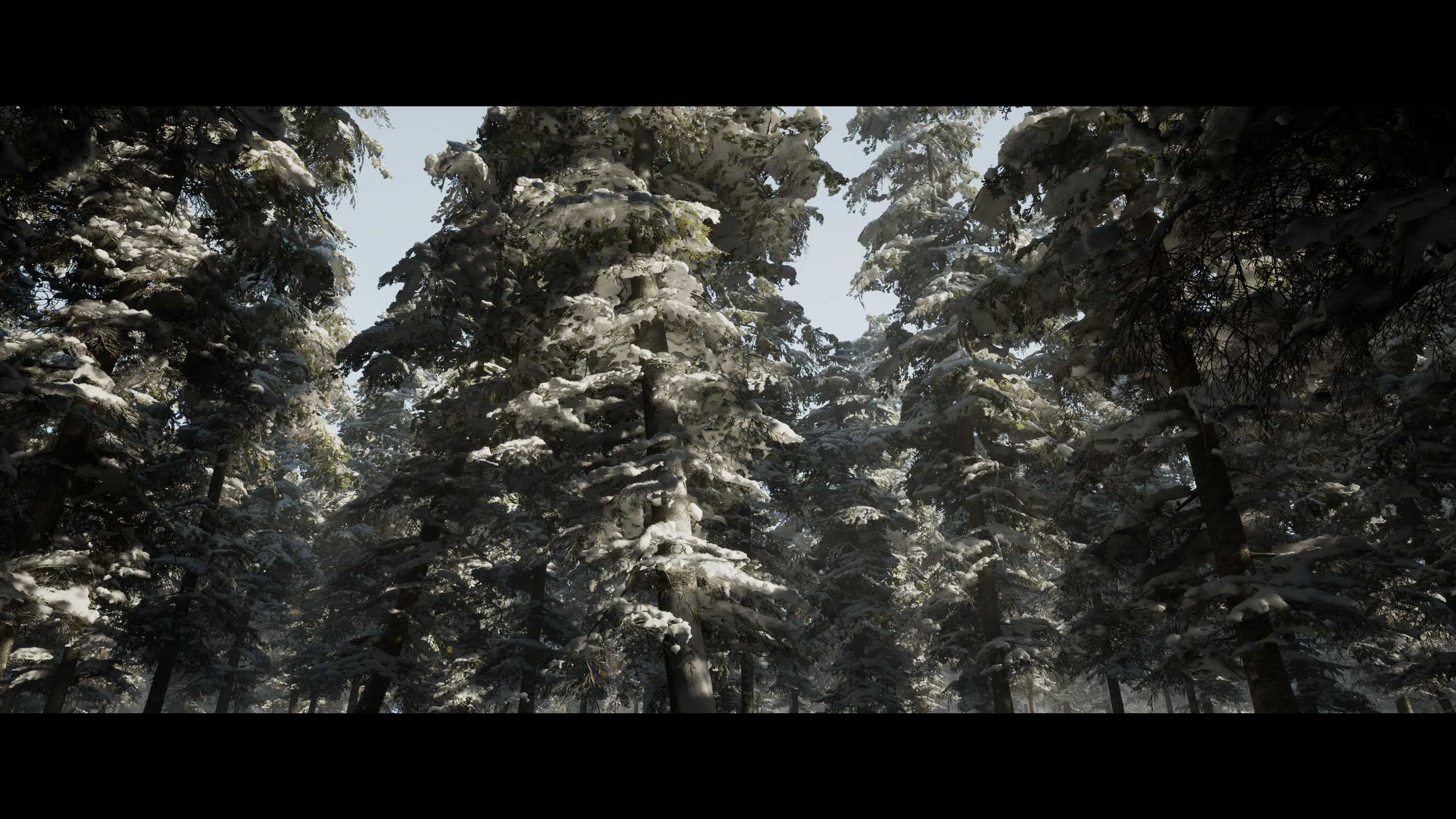 B.O.W.👁‍🗨 - 【UE5】Snow on tree in winter