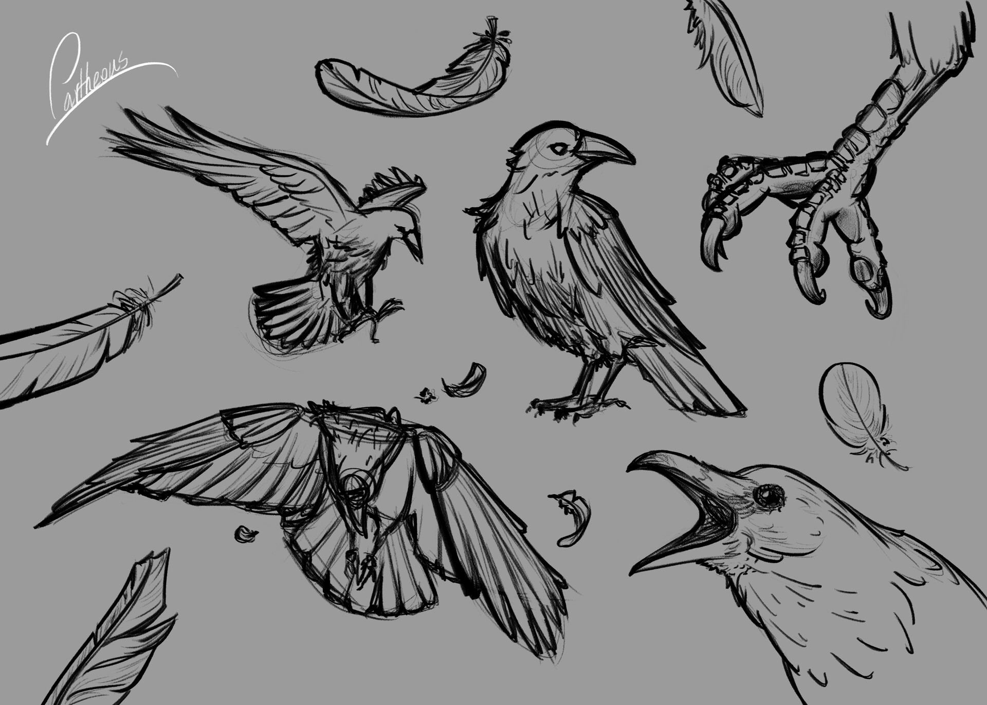 ArtStation - Ravens and Feathers
