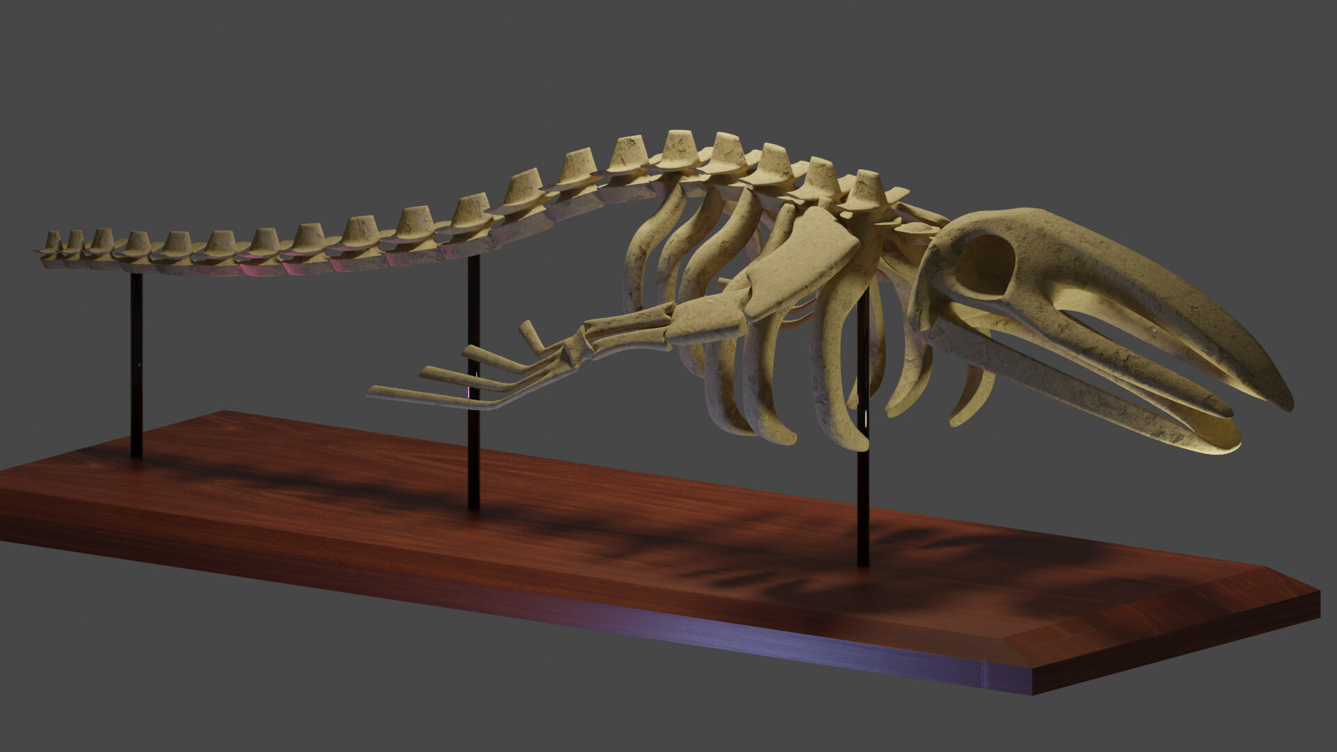 ArtStation - Whale Skeleton
