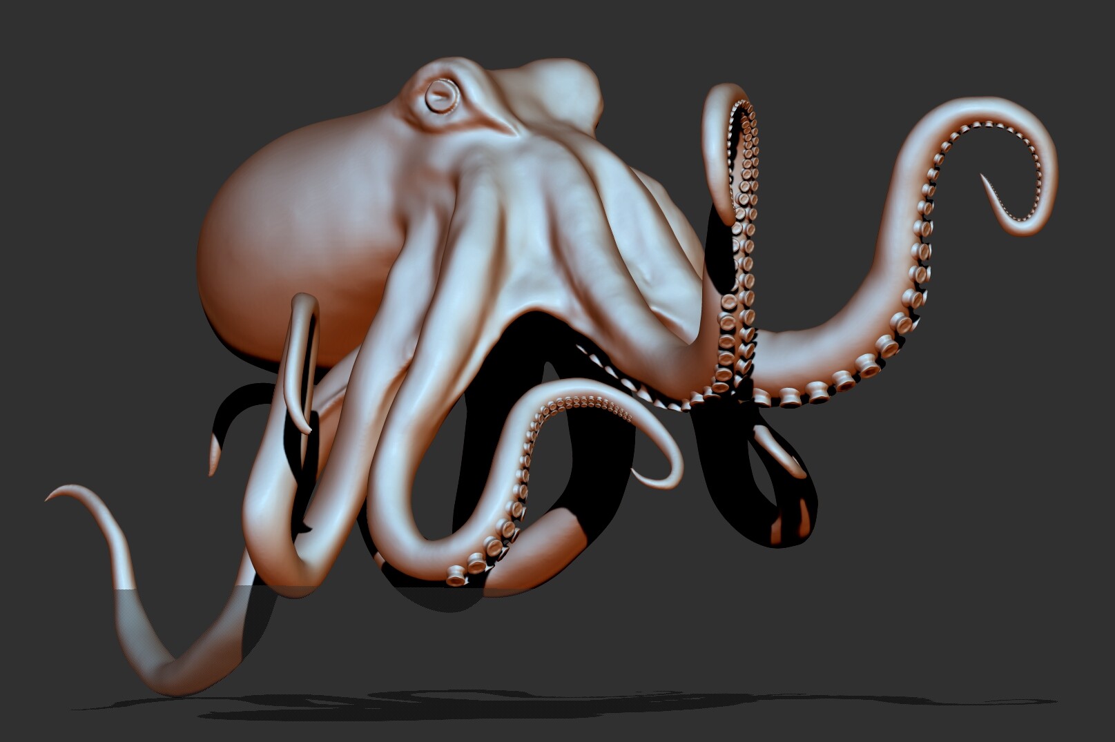 ArtStation - Octopus