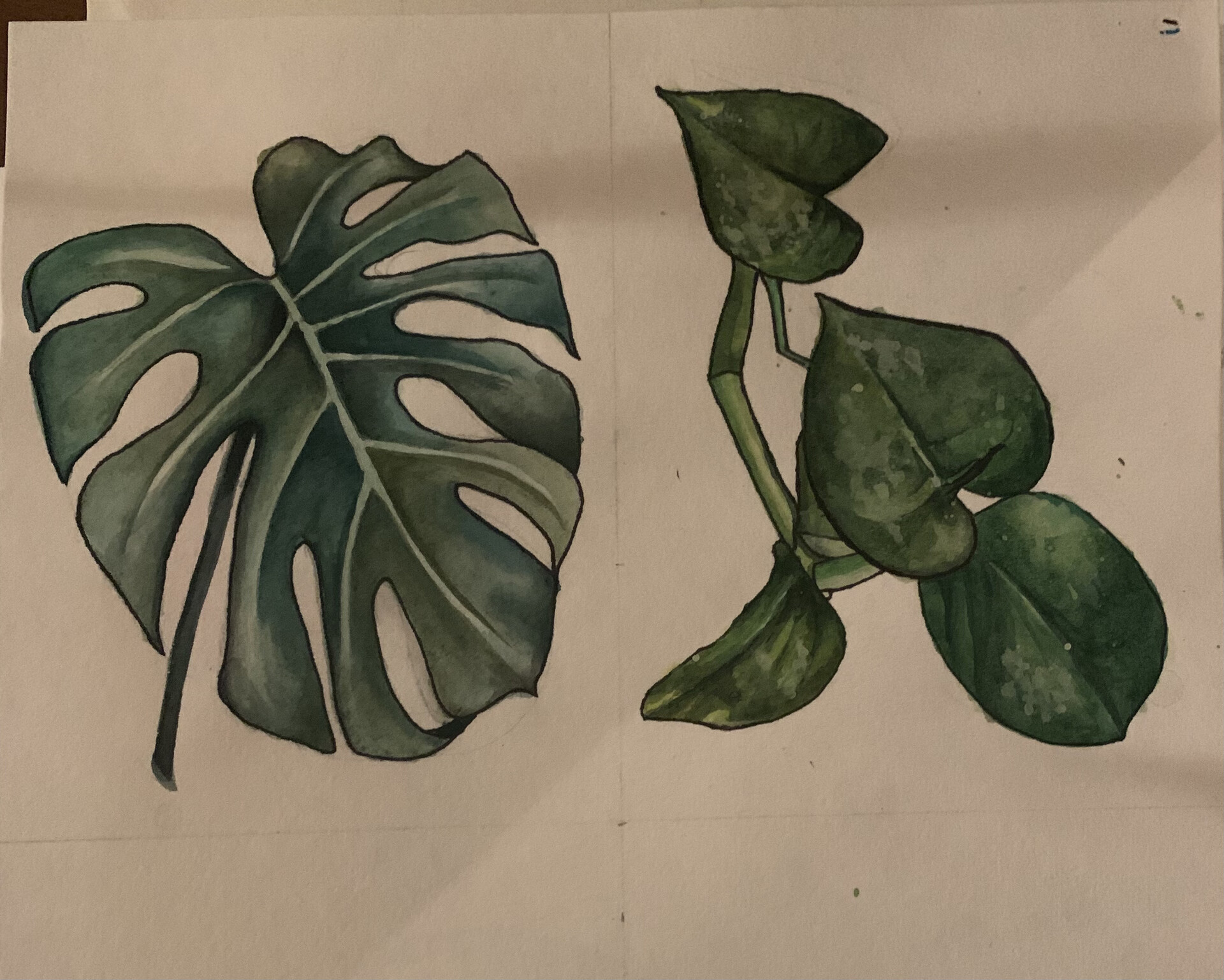 ArtStation - Monstera & Pothos
