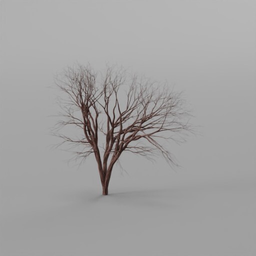 ArtStation - Tree No Leaves