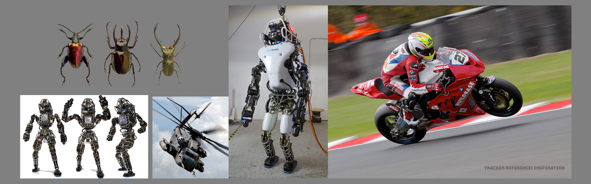 Ronald Segovia - Tracker