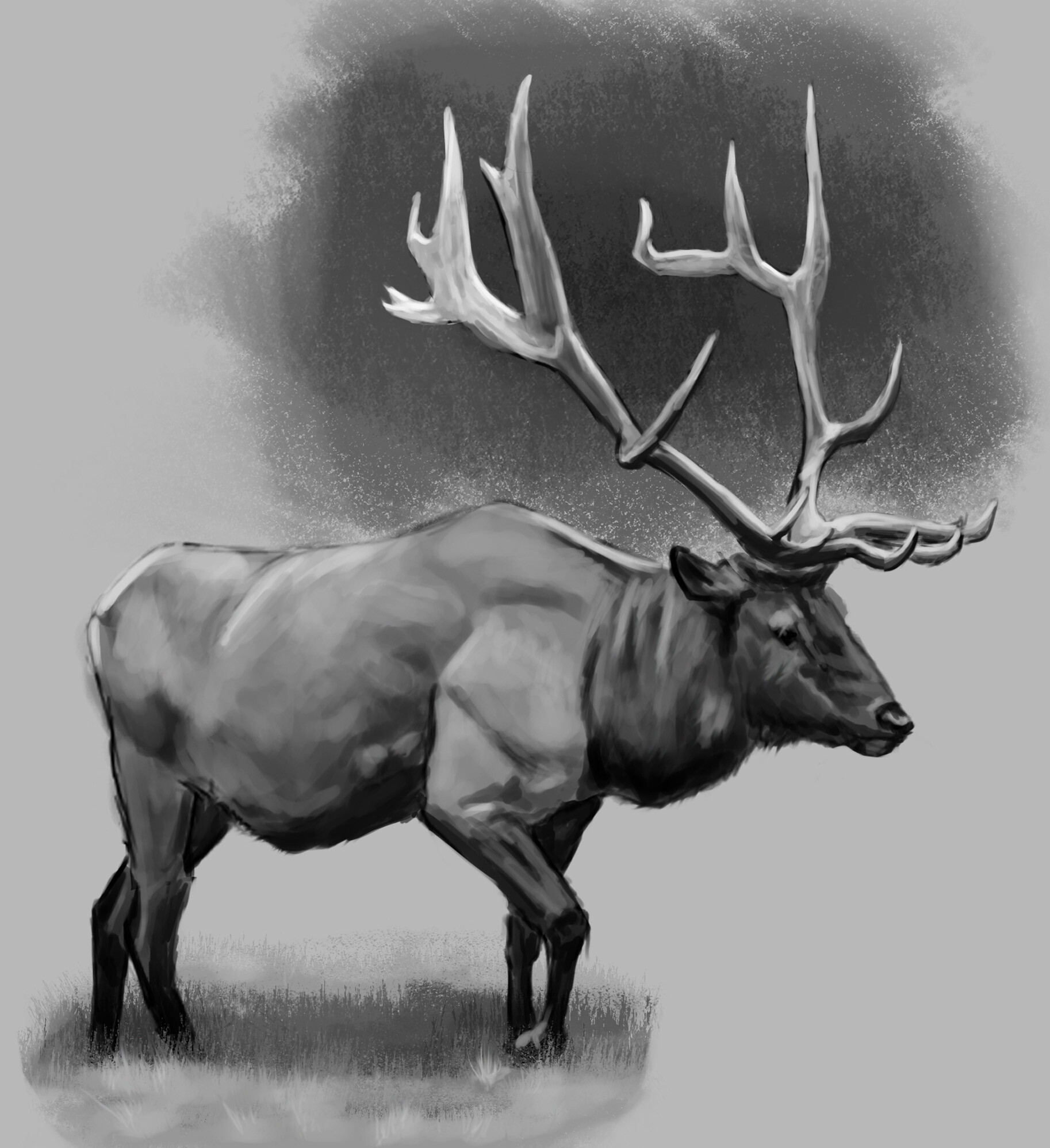 ArtStation - An Elk Study