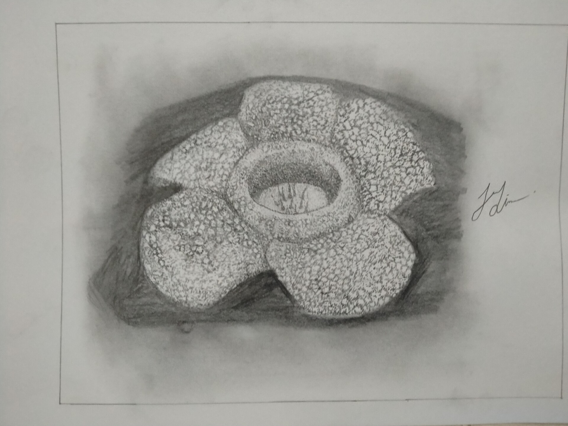 ArtStation - Nature (corpse flower)