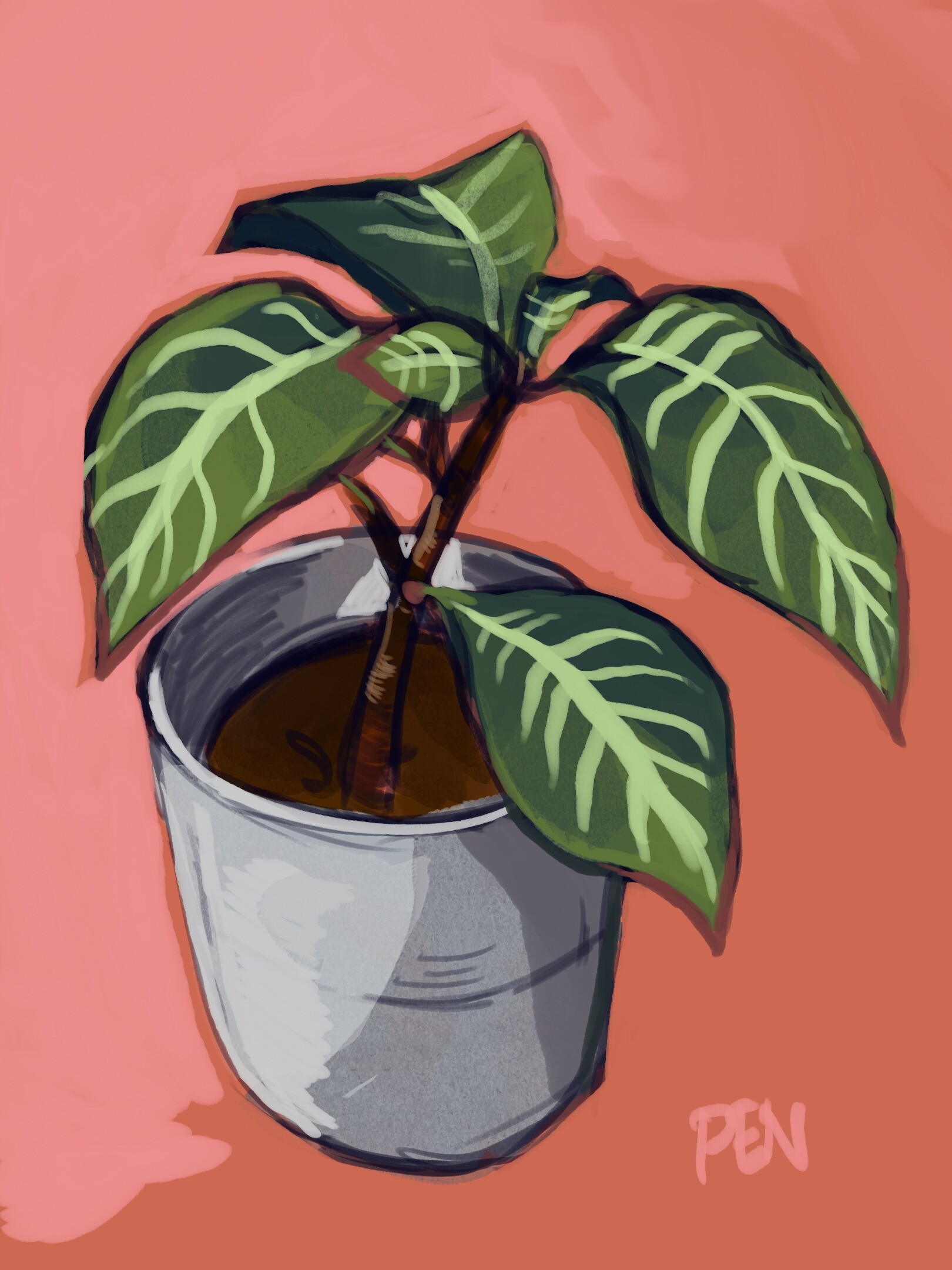 ArtStation - Plant study