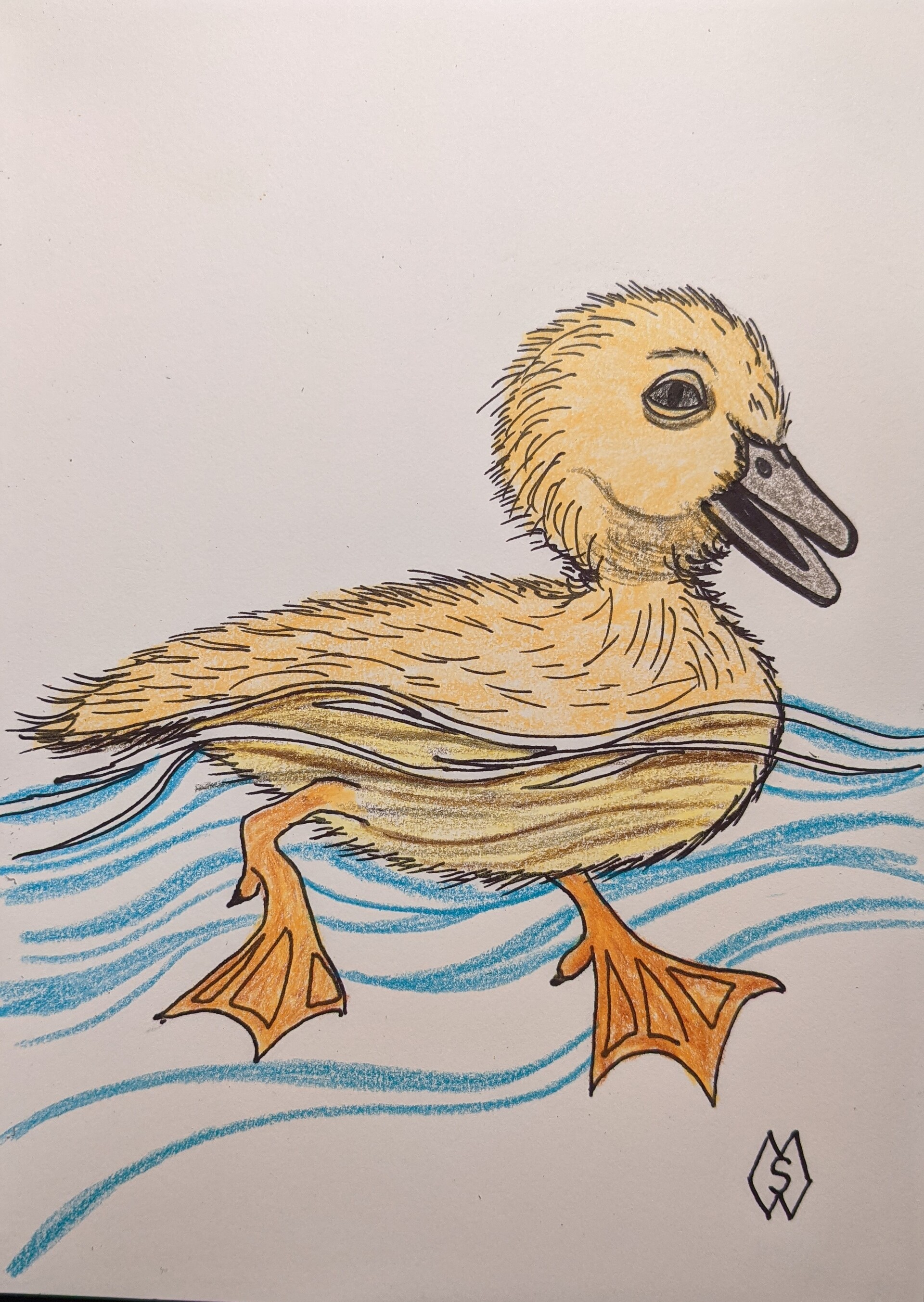 ArtStation - Fuzzy Duck