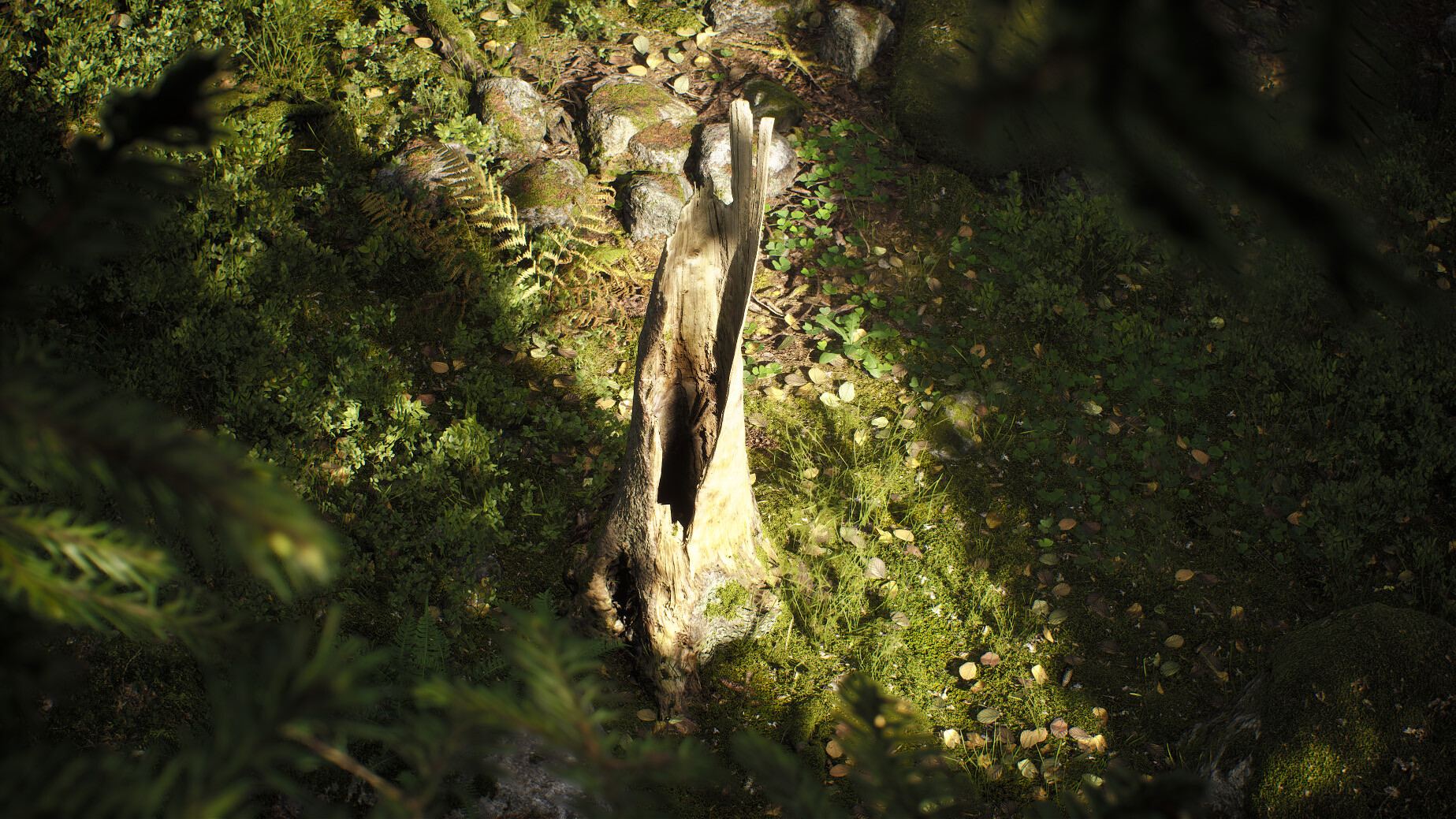 robert-berg-cropped-0027-24.jpg (1847×1039)-花瓣网