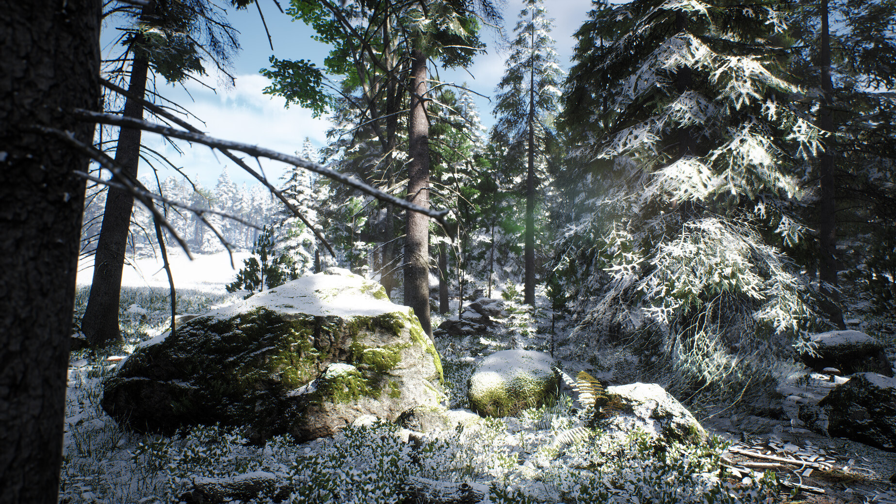 robert-berg-cropped-0058-52.jpg (1847×1039)-花瓣网