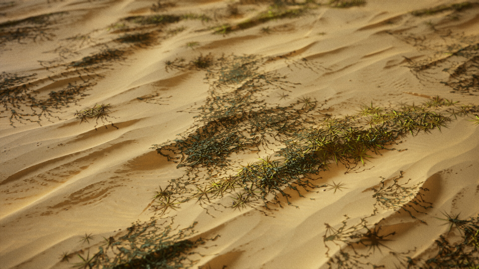 ArtStation - Substance Designer - Desert Set