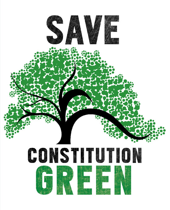 ArtStation - Save Constitution Green