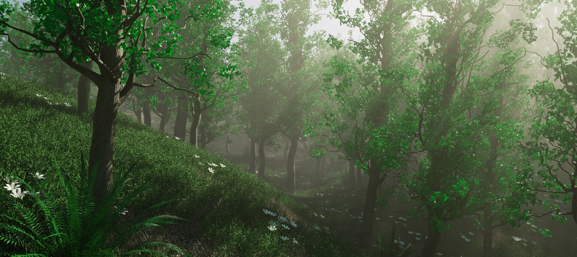 ArtStation - Atmospheric Forest 2