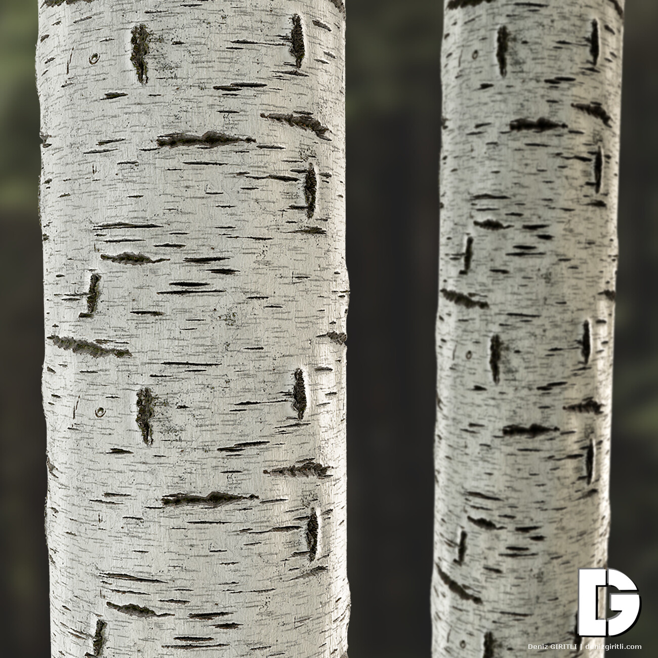 Deniz Giritli - Birch Tree Bark Material - Substance Designer