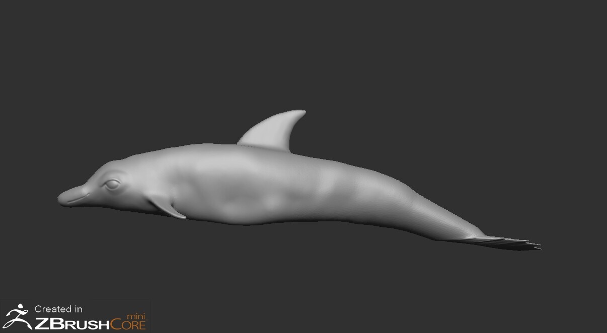 ArtStation - Dolphin Project