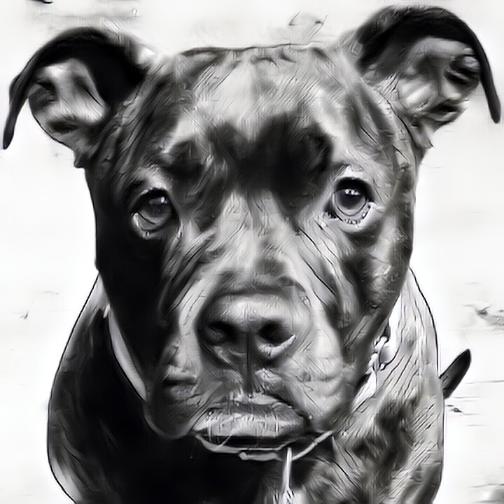 ArtStation - Love or Hate... (Kilolo Collection)