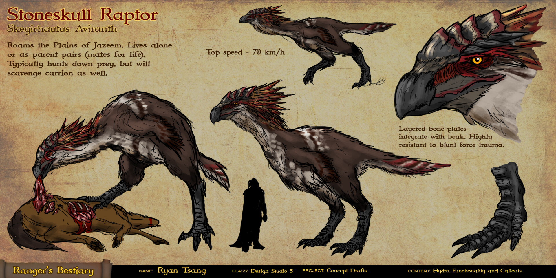 ArtStation - Creature Sketch Pages