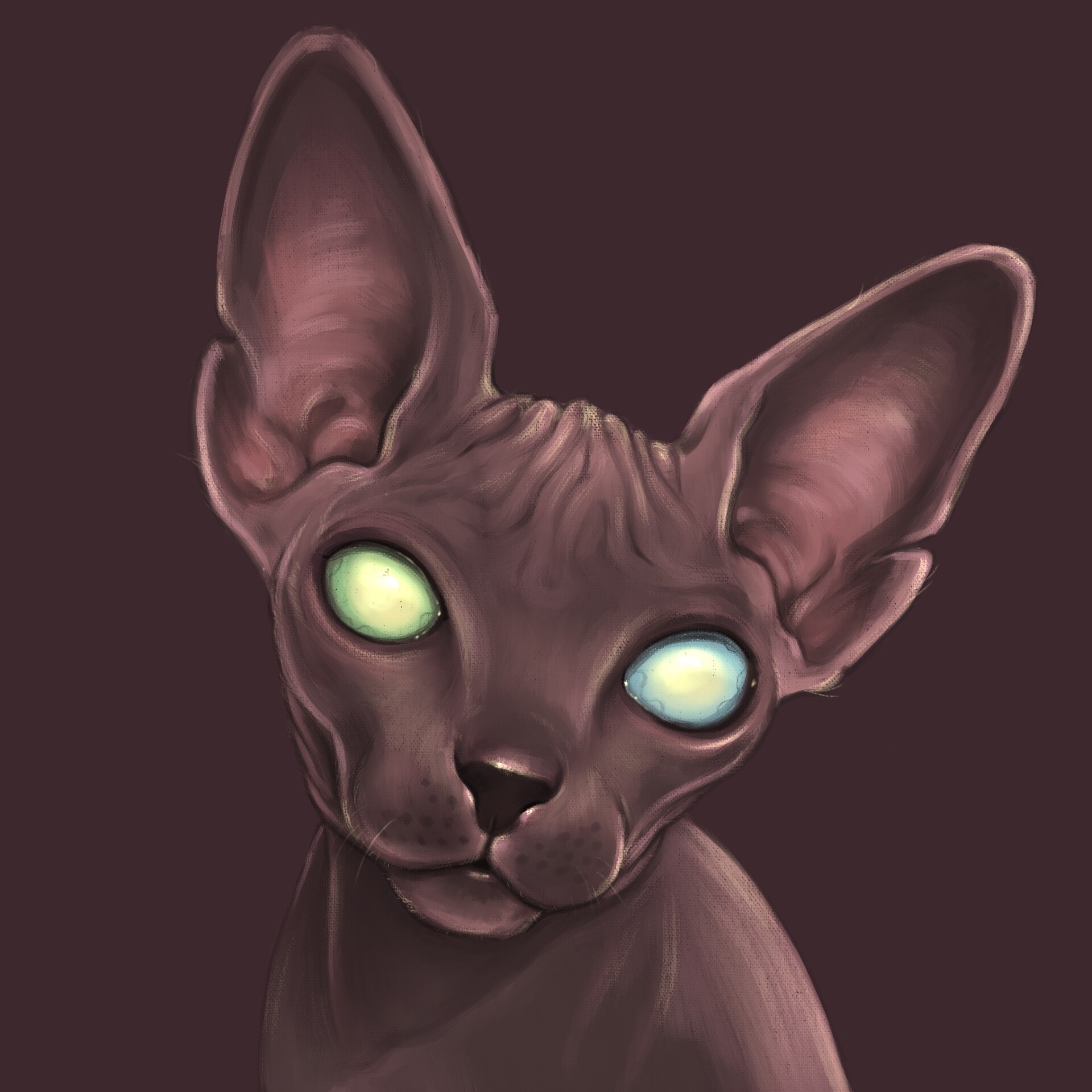 ArtStation - Alien Cat