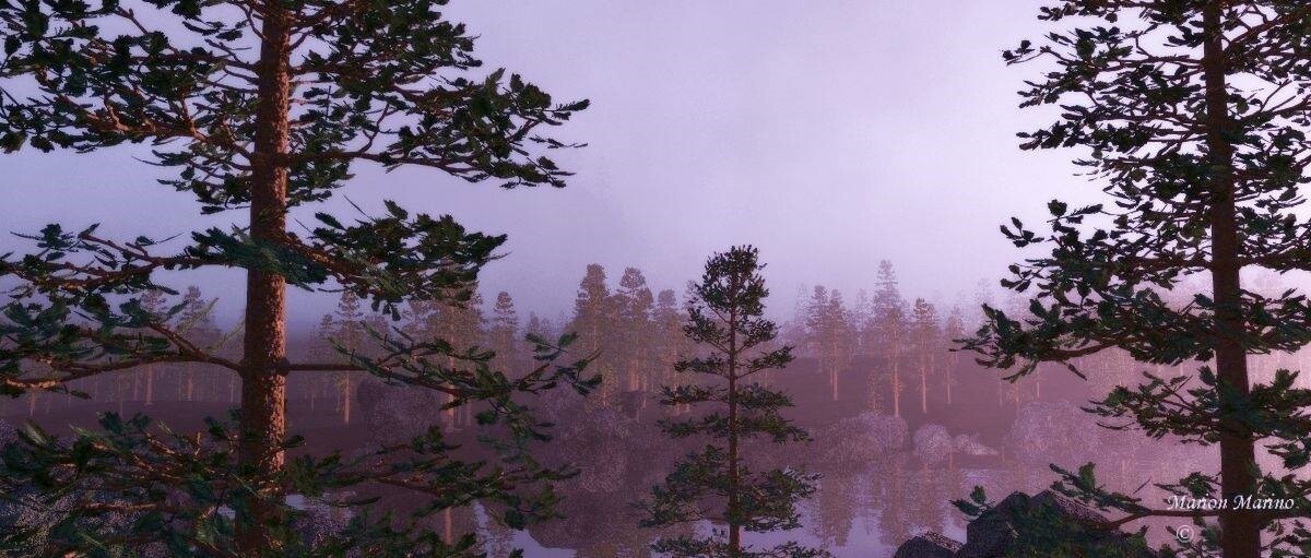 ArtStation - First morning light