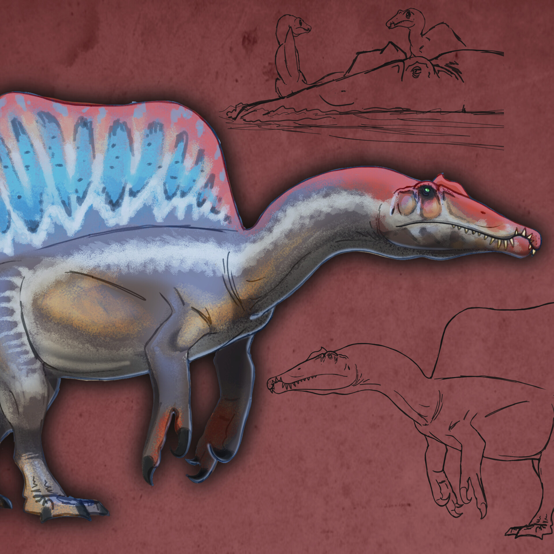 Spinosaurus anatomy studies by Arturo García — ProUser.Me