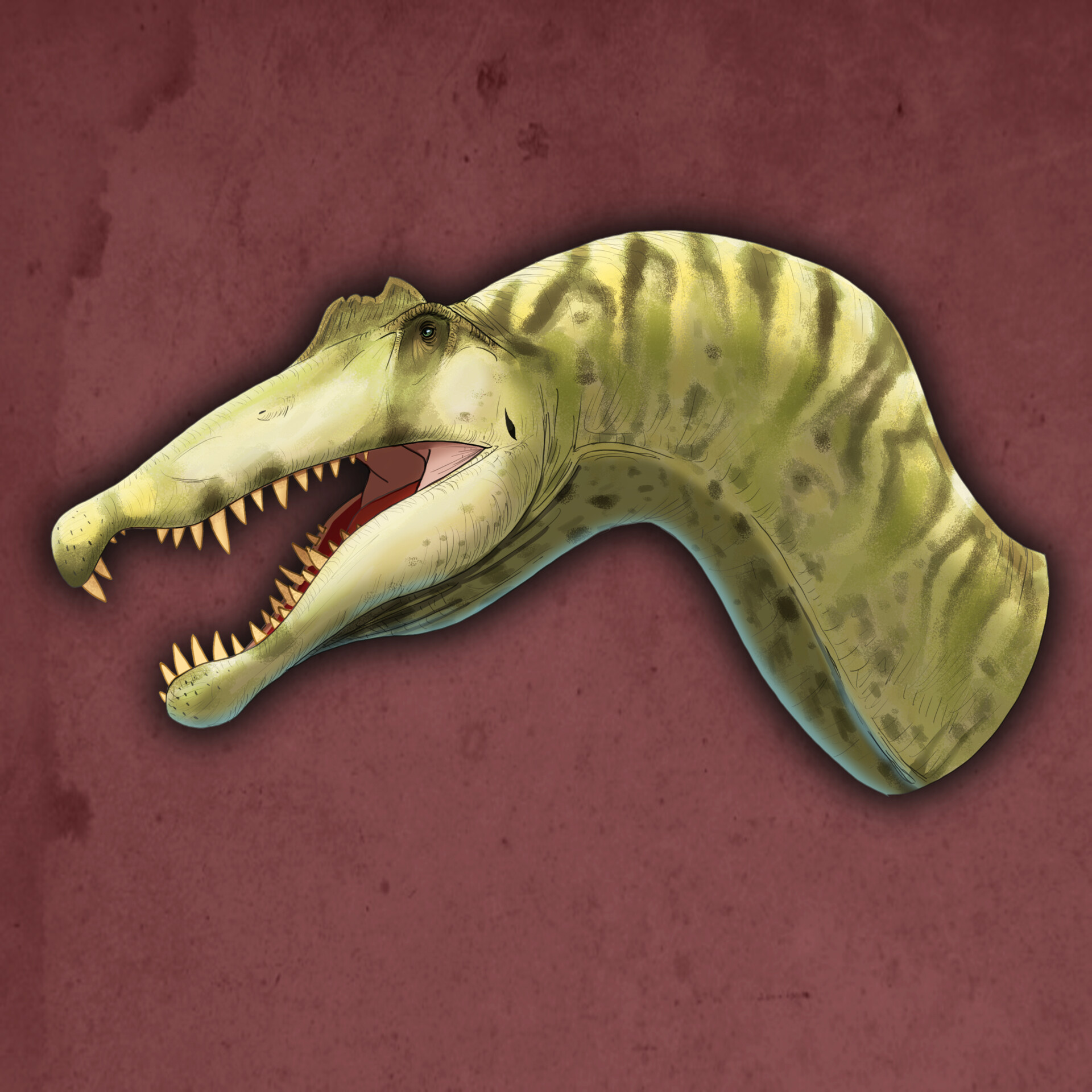 Spinosaurus anatomy studies by Arturo García — ProUser.Me