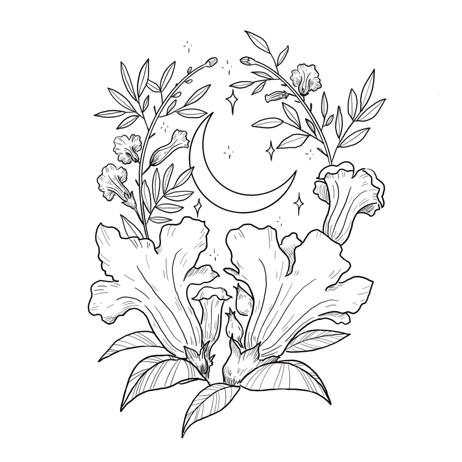 moon flower coloring pages
