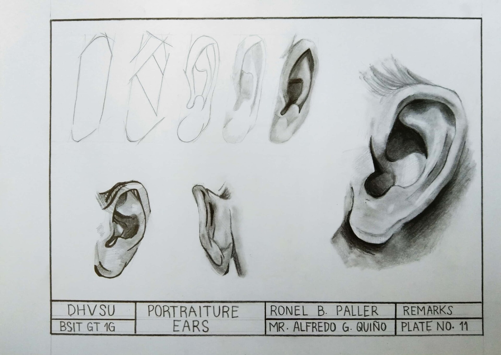 ArtStation - Portriture Ears