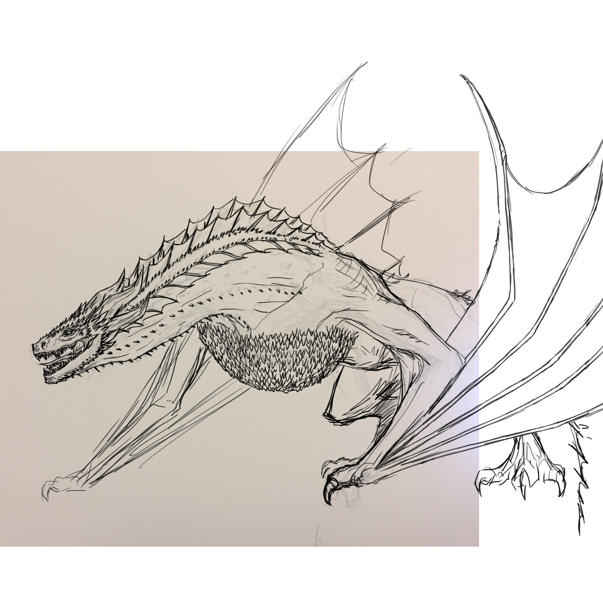 drogon dragon drawing