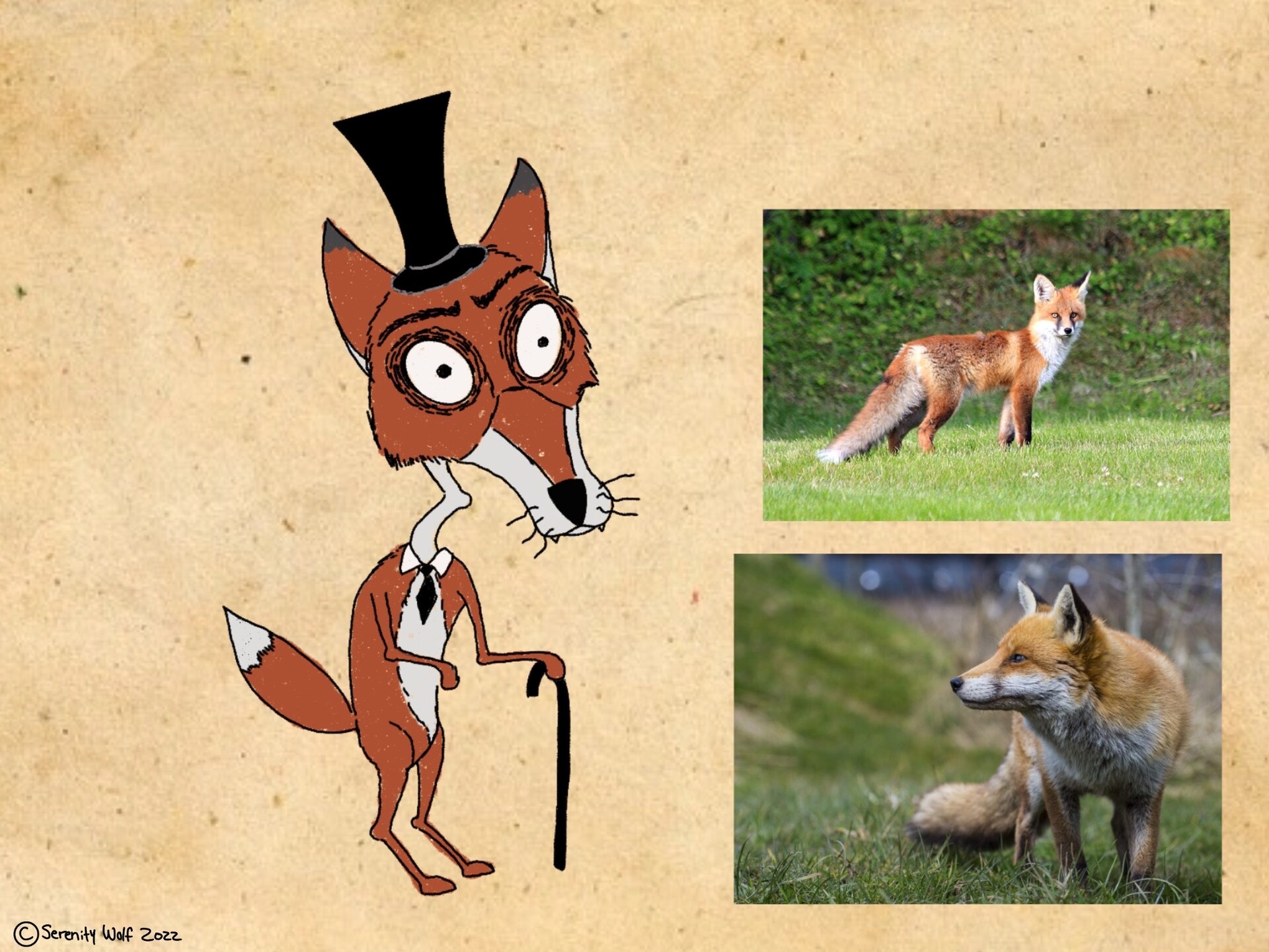 ArtStation - Sly Old Fox